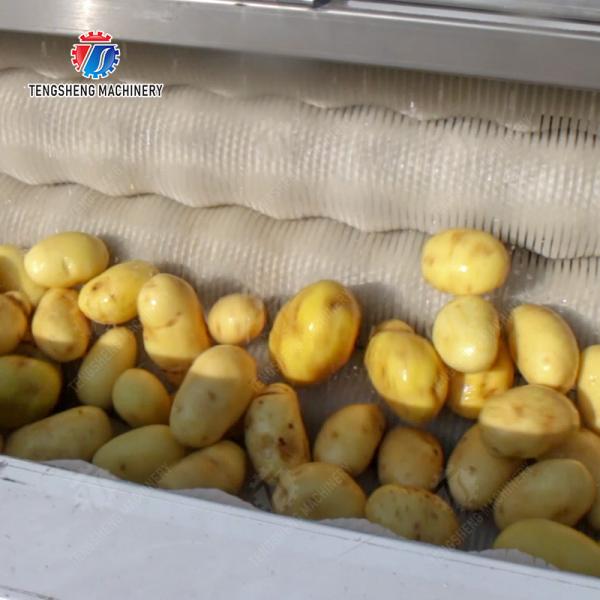 Quality Brush washing and hoisting production line Ginger Potato Carrot Taro Sweet for sale