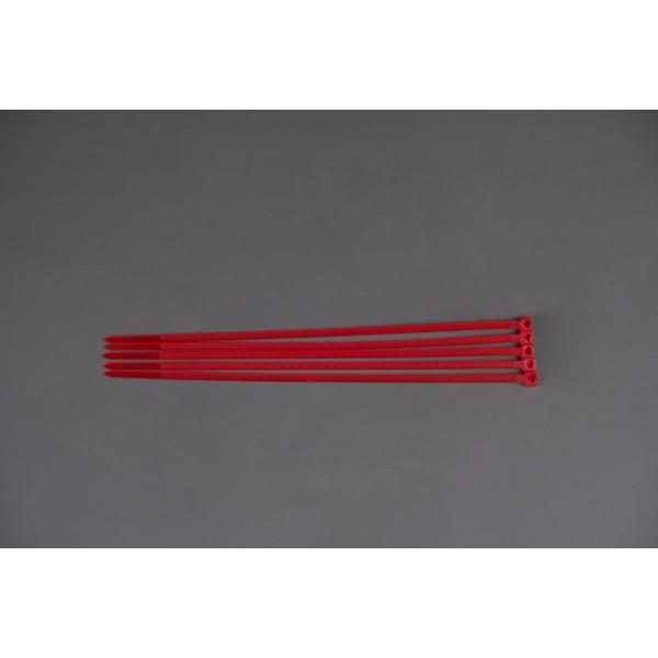 Quality 10 Series Nylon Zip Ties Self Locking Plastic Ties 250mm / 9.8Inch for sale