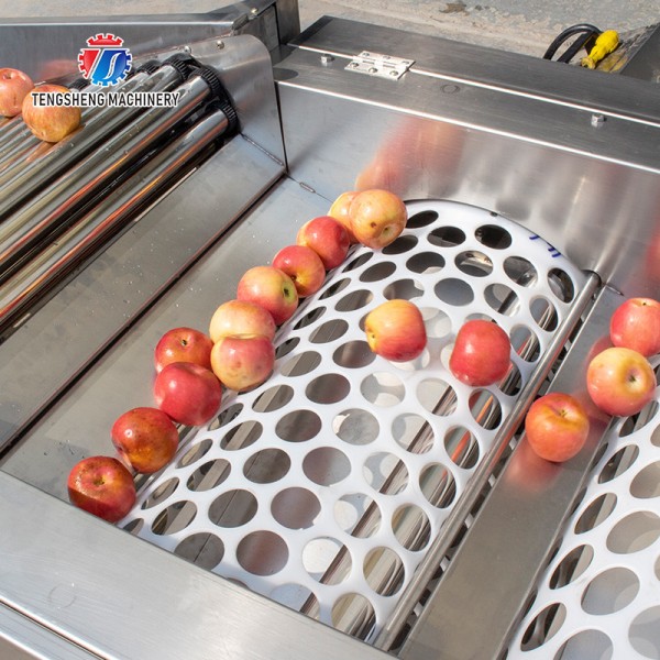 Quality Automatic Cherry Tomato Fruit Sorter Machine Potato Sorting Grading Machine for sale