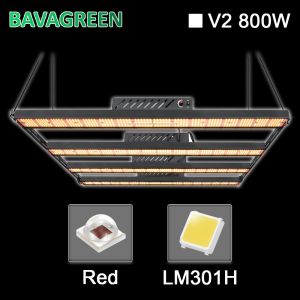 Quality 90 Cri LM301H LED Grow Light 5x5ft 660nm Samsung Horticulture LED Strip for sale