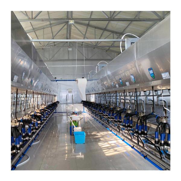 Quality quick release type ISO9001 Abreast Milking Parlour with Electronic Metering for sale