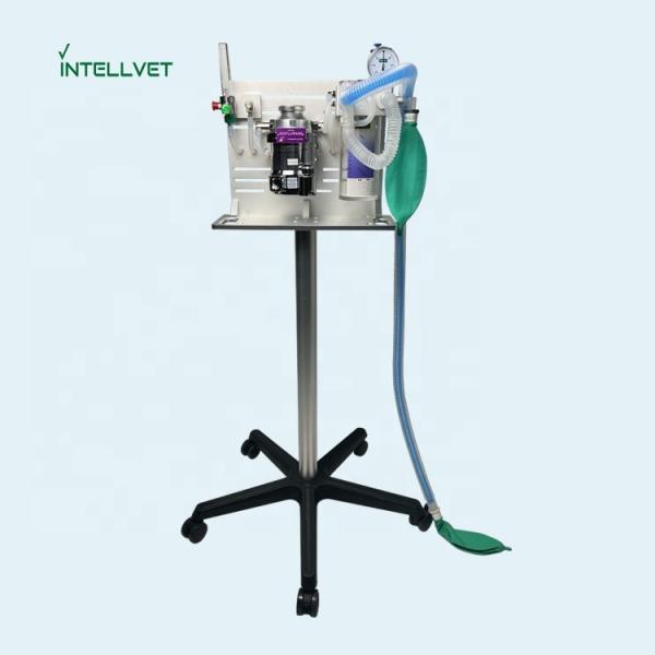 Quality Small Animal Medical Treatment Anesthesia Machine Medivet Veterinarian Clinic for sale