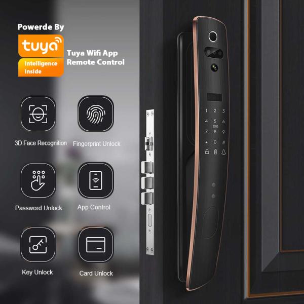 Quality 3D Face Digital Tuya Smart Lock RFID Fingerprint Access Control Aluminum Alloy for sale