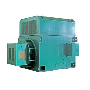 Quality 6kV IP23 Class F IM B3 HV Electric Motor Three Phase Light Weight for sale