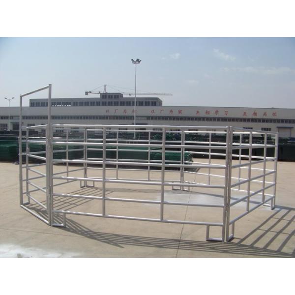 Quality Square Tube H1800mm Welded Cattle Gate Fence for sale