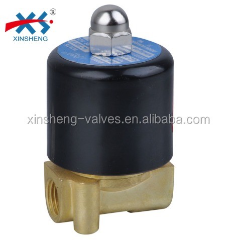 Quality Standard Brass 1/4 Inch Mini Water Solenoid Valve 2W-025-08 for Water Flow Management for sale