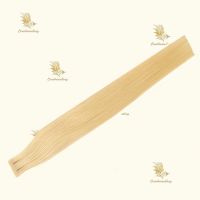 Quality Human Hair Tape in Hair Extensions 20inch Initial Payment Discount for sale