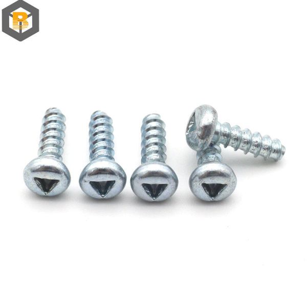 Quality Polishing Special Applications Security Fasteners BY-0515 for Customized for sale