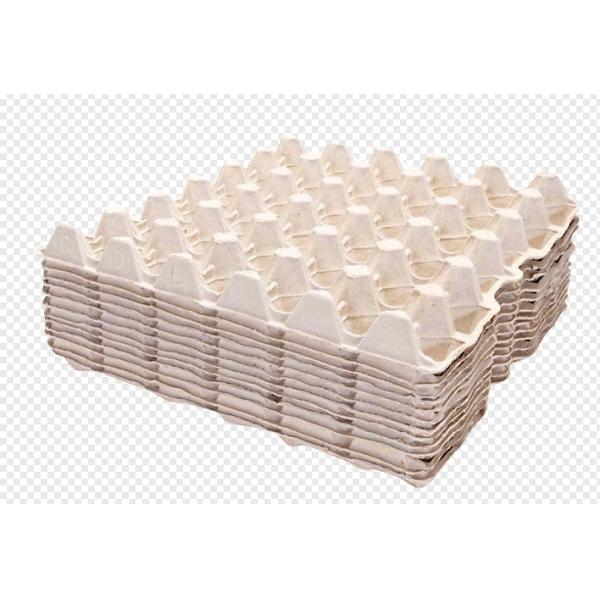 Quality Full Auto Rotary Egg Tray Machine 3000pcs per hour / Energy Recycling Egg Carton for sale
