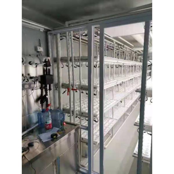Quality Freezer Shipping Container Farm Hydroponic Green Efficient Growth Plant Container for sale
