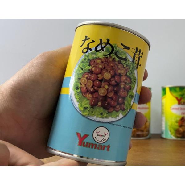 Quality Fresh Natural Canned 400g Nameko Mushroom Champignons for sale