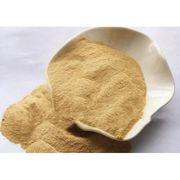 Quality High Protein Mycoprotein Powder ISO9001 for sale