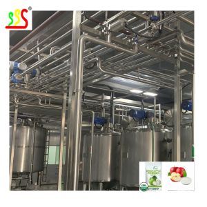 Quality 200 - 5000kg/H Apple Powder Fruit Processing Line Food Grade for sale