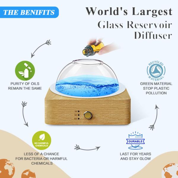 Quality Solid Wood Glass Aroma Diffuser▕ DN-839 for sale