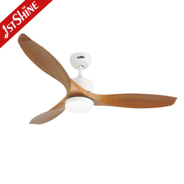 Quality Outdoor Waterproof IP65 ABS Plastic Ceiling Fan with 52 Inches Blades and Remote for sale