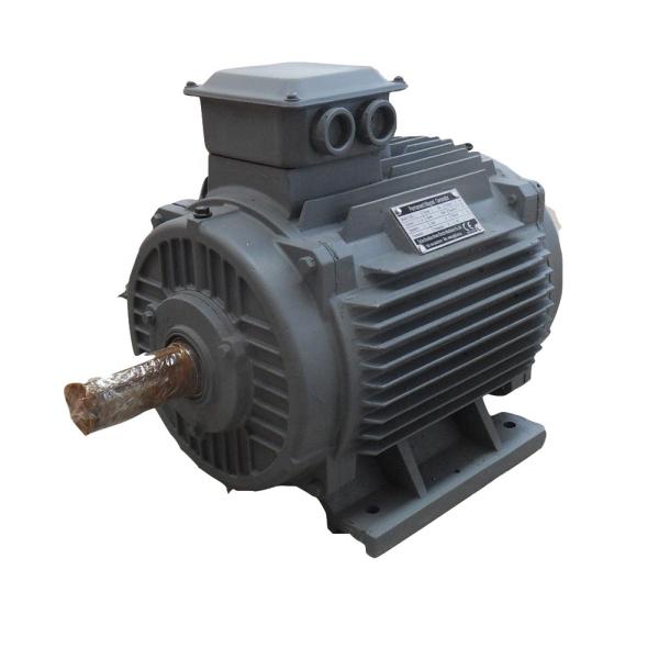 Quality Renewable Energy Permanent Magnet Alternator Low Speed AC Alternator Generator for sale