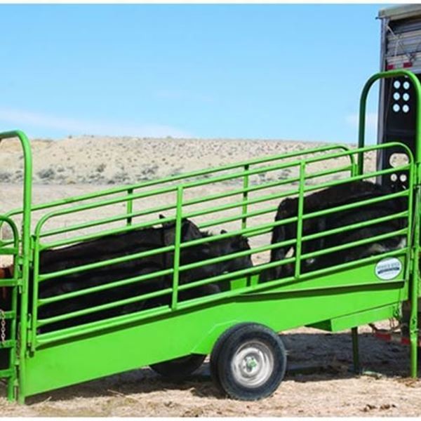 Quality Australian Galvanized Cattle Loading Ramp / Mobile Cattle Loading Ramp Easy for sale