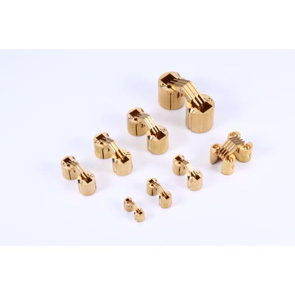 Quality Antiwear Stainless Steel Concealed Hinges , Rustproof Concealed Swing Door for sale