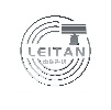 China Chongqing Leitan Technology Co., Ltd. logo