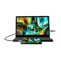 Quality 15.6" Weight 890g 178 Degree View Angle Type C USB Travel Monitor for sale