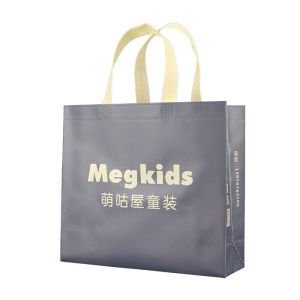Quality Eco Friendly Promotional Non Woven Shopping Bags 50gsm Non Woven Shoe Bag for sale