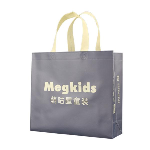 Quality Eco Friendly Promotional Non Woven Shopping Bags 50gsm Non Woven Shoe Bag for sale