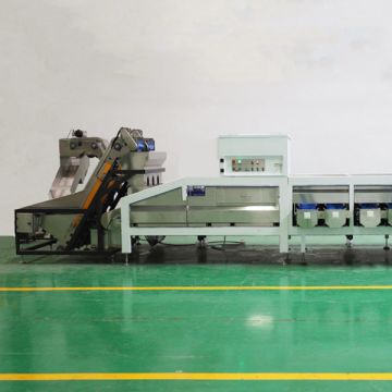 Quality 8 Lanes 8 Expectation Discharges Dates Sorting Machine High Output for sale