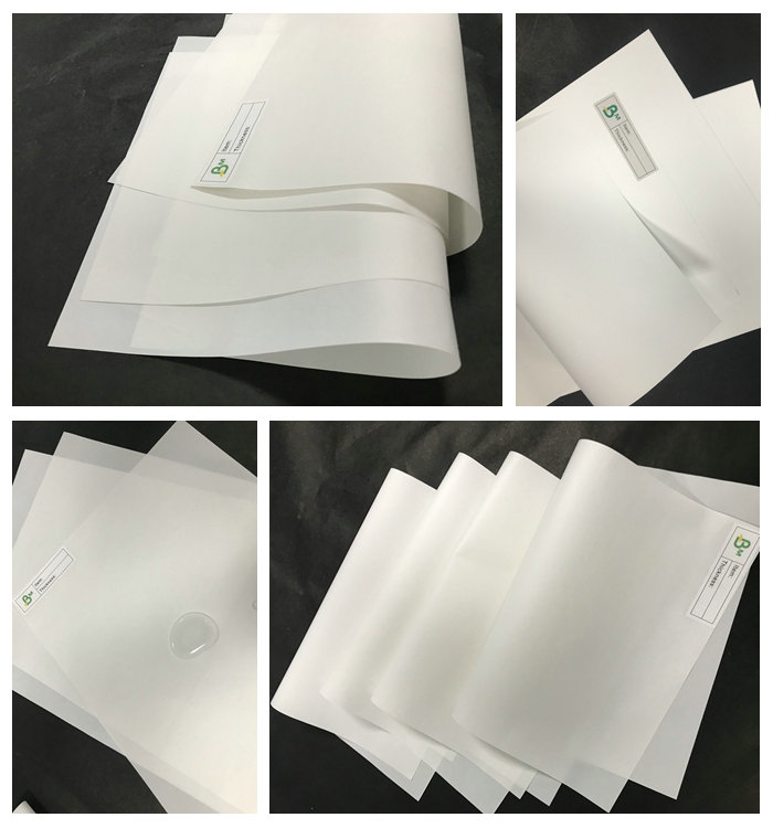 Heat - resistant laser and inkjet printing 200um 250um PP synthetic paper Roll