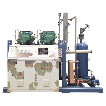 Quality Multiple Refrigerants Highly Energy Efficient Environment Protection Compressor for sale