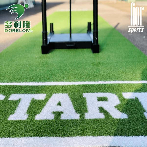 Quality 63000 Stitches/m2 Density Dorelom Artificial Grass for Interval Training Agility for sale