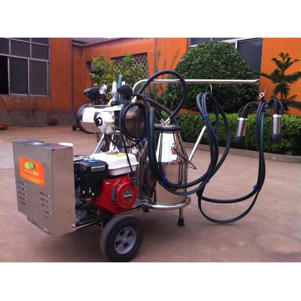 Quality Portable Food Grade SS Mobile Milking Machine With Gasoline Engine for sale