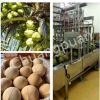 china Normal Temperature Coconut Water Extraction Machine 0.5-25T/H