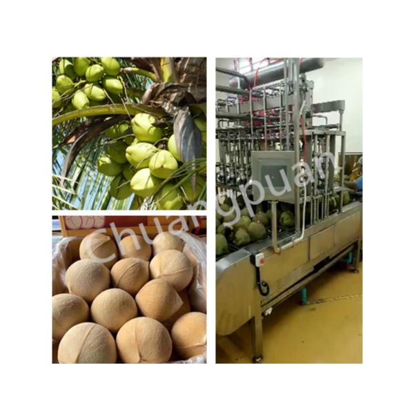 Quality Normal Temperature Coconut Water Extraction Machine 0.5-25T/H for sale