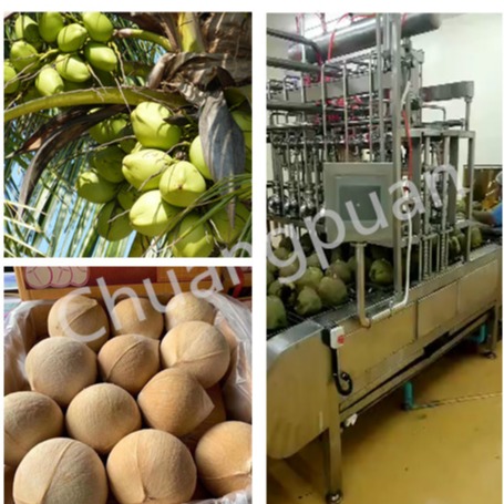 Quality Normal Temperature Coconut Water Extraction Machine 0.5-25T/H for sale
