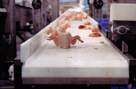 Chinese Manufacturers Turning and Straight Plastic Modular Belt Conveyor System