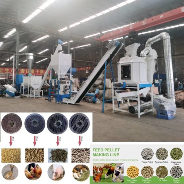 Quality 2 Tons/Hour Feed Pellet Production Line For Animal Poultry Feed for sale