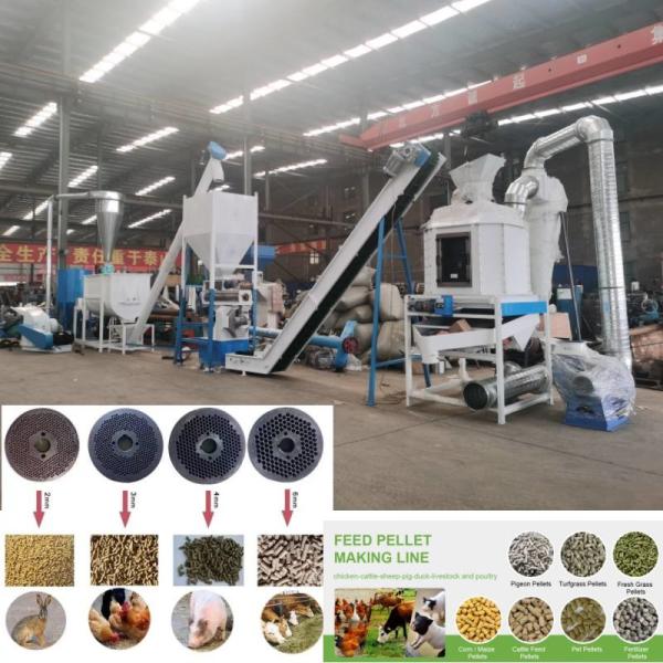 Quality 2 Tons/Hour Feed Pellet Production Line For Animal Poultry Feed for sale