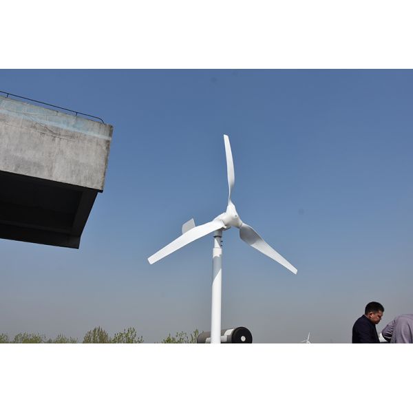 Quality Nylon Blade Horizontal Blade Wind Turbine 24V 48V 800W For Off Grid System for sale