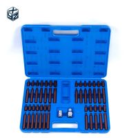 Quality S2 Alloy Steel Precision Machining 54pcs Plastic Box Bits Set for 3/8in Drive for sale