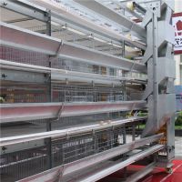 Quality Poultry Galvanized Layer Chicken Cage System 128 Birds 160 Birds for sale