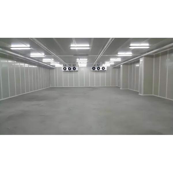 Quality PUR / PIR Core Industrial Cold Room Energy Saving Small Cold Storage Room for sale