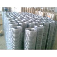 Quality Welded steel wire mesh coil for sale