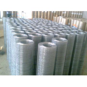 Quality Welded steel wire mesh coil for sale
