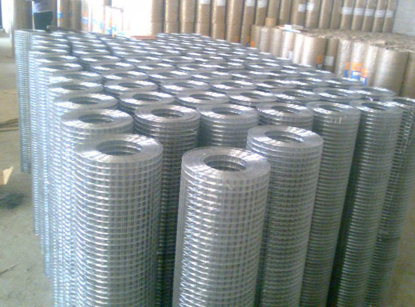 Quality Welded steel wire mesh coil for sale