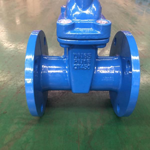 Quality Rising Stem Flange Gate Valve DN40-DN1200 Ductile Iron Valve for sale