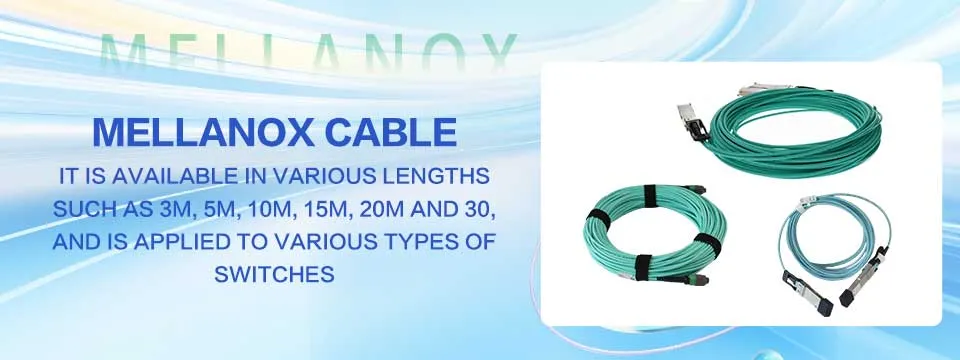 Aqua LSZH Fiber Optic Cable Assembly MPO12 APC to MPO12 APC, 5m