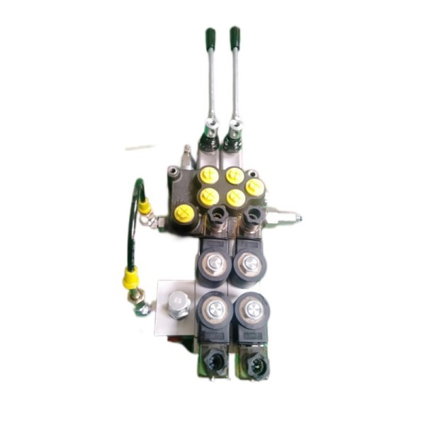 Quality Wireless Remote Control Multiway Valve Straight Through Style 24V for sale