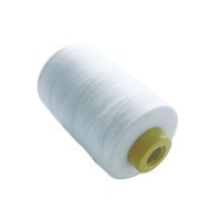 Quality 165C Polypropylene Multifilament Yarn White Flame Retardant Thread for sale