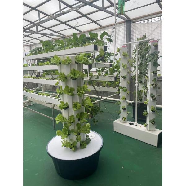 Quality Balcony vegetable soilless cultivation equipment, hydroponic system, greenhouse for sale