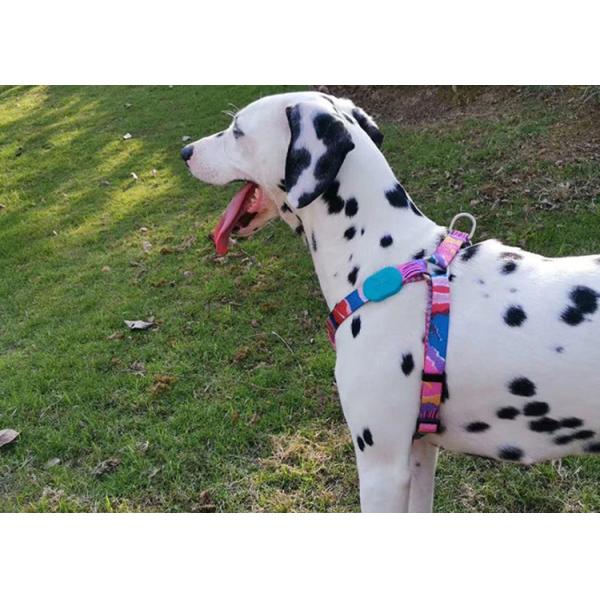 Quality Front Connect Easy Walk Dog Harness Small Medium for sale